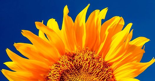 Calendar Girls – Tenterden Operatic and Dramatic Society
